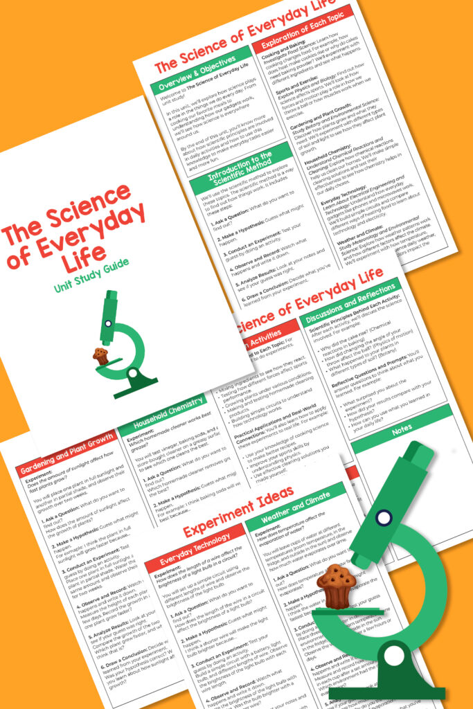 STEM/Science Information Articles – Little Bins